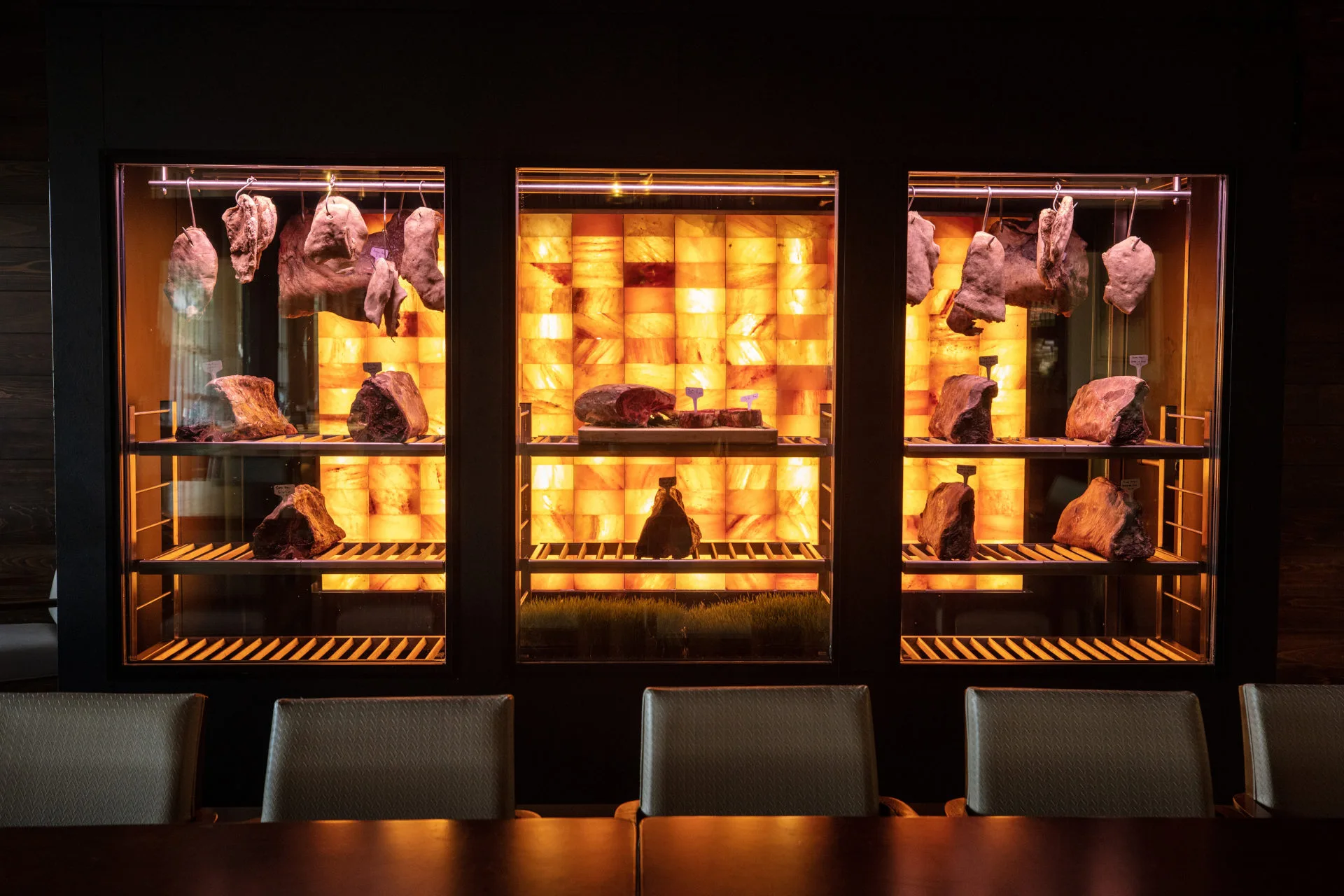 Dry Age Meat to Perfection with The Aging Room’s Microclimate Himalayan ...